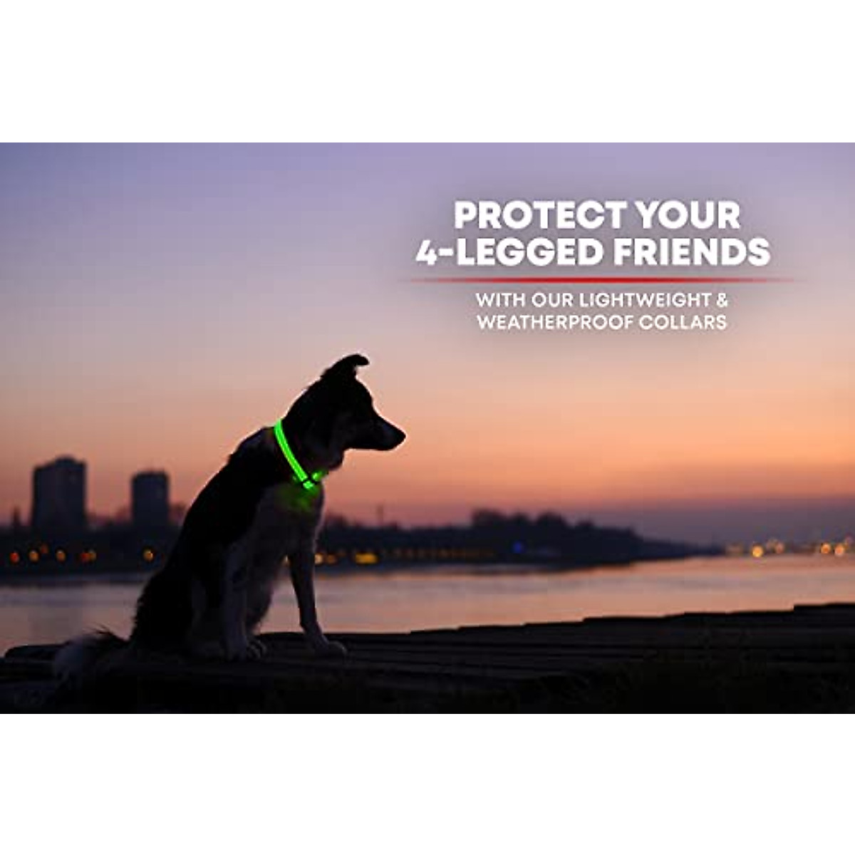 Illumiseen LED Dog Collar USB Rechargeable - Bright & High Visibility Lighted Glow Collar for Pet Night Walking - Weatherproof, in 6 Colors & 6 Sizes (Green Large)