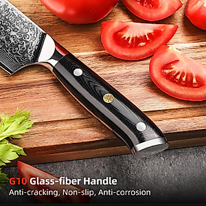 Sunnecko Damascus Kitchen Knife Japanese Nakiri Knife 7 Inch Cooking Knife Vg-10 High Carbon Stainless Steel with G10 Handle