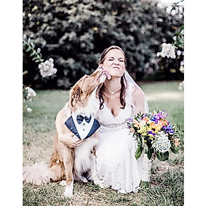 Bow Tie Dog Collar, iToolai Adjustable Collar Wedding Bandana for Small Medium Large Dog Boy(Black Strips, Large)