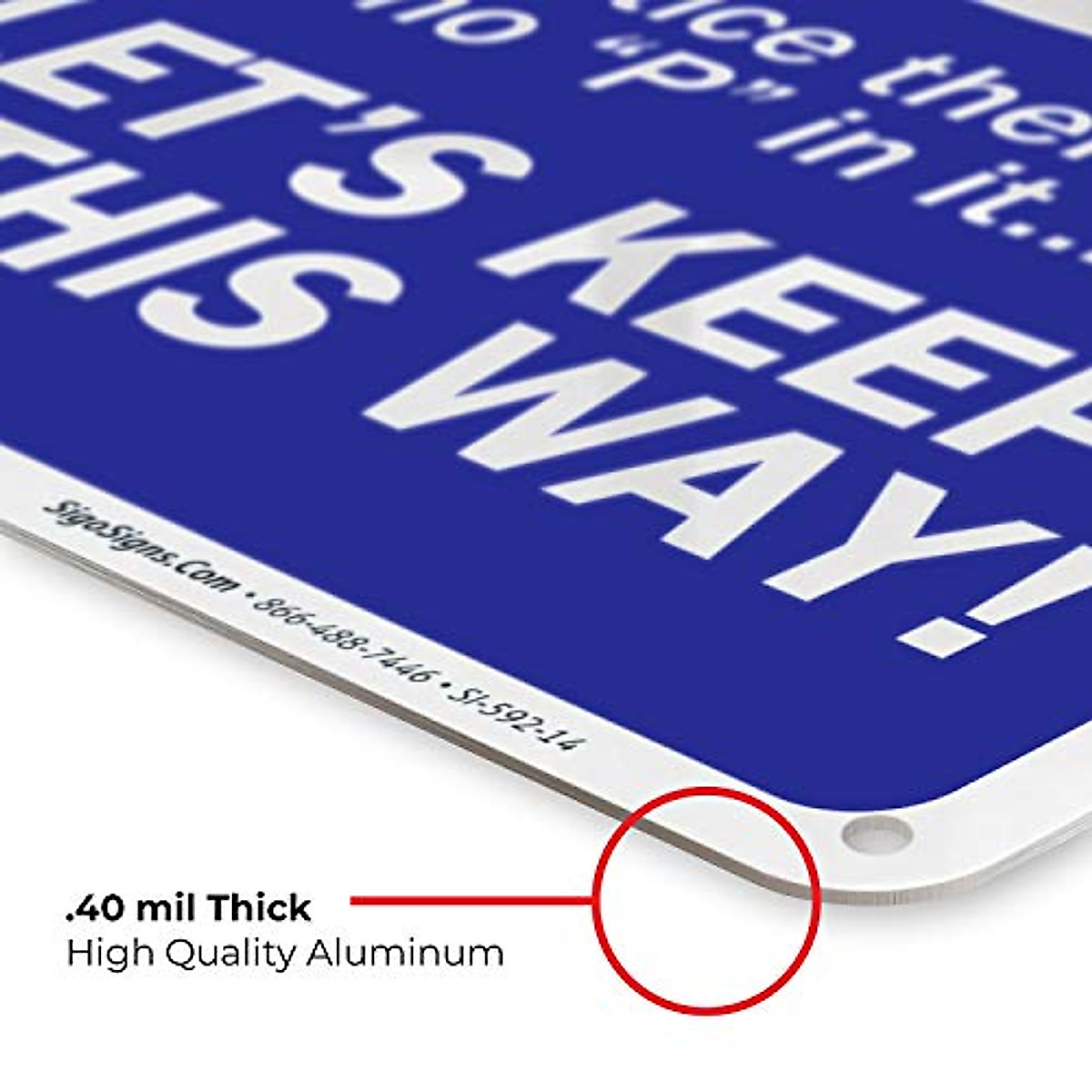 Swimming Pool Sign, Welcome to Our OOL Sign, Pool Rules, 10x14 Inches, Rust Free .040 Aluminum, Fade Resistant, Made in USA by Sigo Signs