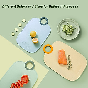 Holymood Cutting Board for Kitchen, Chopping Board with Juice Grooves, Dishwasher Safe, Cute Wheat Straw Non-Porous Cutting Boards , Easy-Grip Handle, Non-slip, Grinding Area