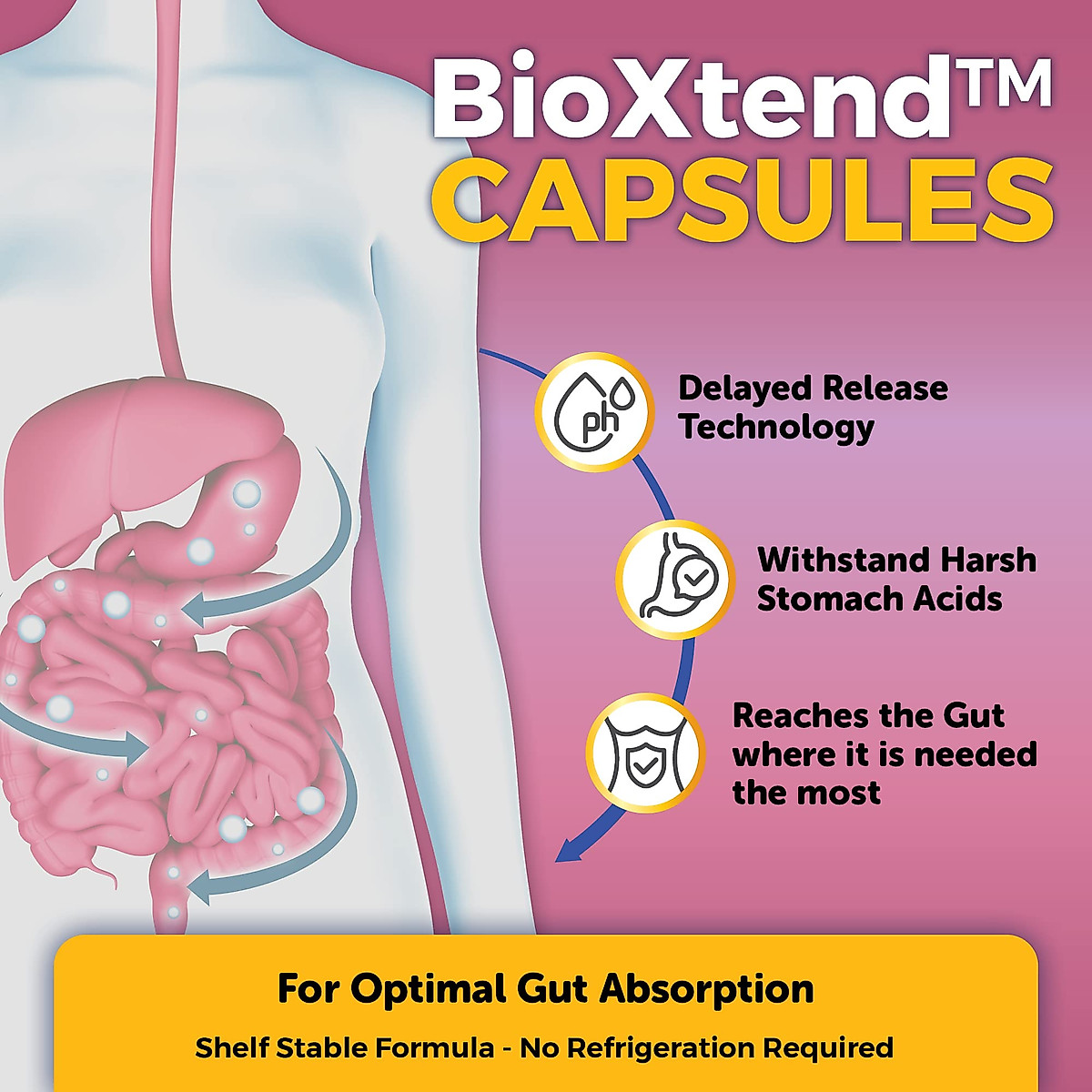 Viva Naturals Probiotics for Gut Health with Prebiotic Fiber, Cranberry & Vitamin C-50 Billion CFU Pre & Probiotics for Women Digestive Health, Vaginal Health from 18 Strains-Shelf-Stable 60 Capsules