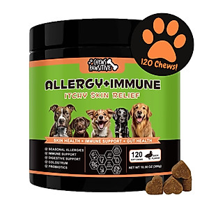 Chews Pawsitive Allergy + Immune Chews for Dogs - Dog Supplements for Itchy Skin and Seasonal Allergy Relief- Natural Dog Immune Support- Digestive Health Probiotics - 120ct