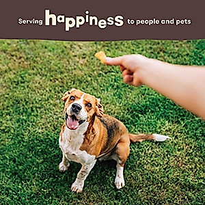 Pet 'n Shape Chik 'n Breast Jerky Dog Treats - 1 Pound