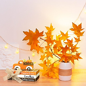 Queekay Tiered Tray Decor, Decorative Fake Book Decor Rustic Wooden Fake Old Books Home Mantle Decor for Spring Summer Fall Table Shelf Mantle Decorations(Fall)