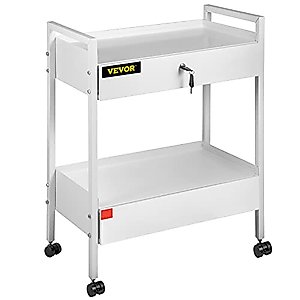 VEVOR Lab Cart, 2 Tiers Stainless Steel Utility Cart Medical Cart 2 Drawers Rolling Lab Cart White Paint Serving Cart with 360° Casters for Laboratory Hospital Dental Office Salon Beauty