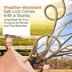 UMAID Compressed Pink Himalayan Salt Lick, [2 Pack] – 5.5 Lb. 100% Natural Himalayan Salt Block with Hanging Rope Helps Replace Lost Electrolytes for Deer, Horse, Cow, Goat, Pigs, Wild Animals & Pets