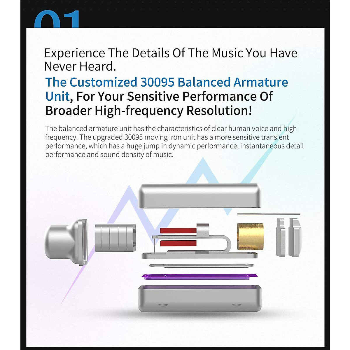 erjigo KZ ZSN Pro Dynamic Hybrid Dual Driver in Ear Earphones Detachable Tangle-Free Cable Musicians in-Ear Earbuds Headphones (Purple with Microphone)