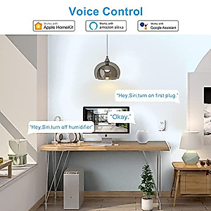 Ampai HomeKit Smart Plug Compatible With Alexa, Siri, Google Home - Energy Monitoring Smart Outlet - Remote Control - 2.4GHz Wi-Fi - 15Amp