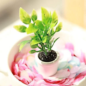 Fdit Artificial Miniature Green Plant Bonsai Fake Potted Plant Garden Decor Accessory for Home Garden Decor Regard
