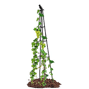 OTOSUNNY Trellis for Climbing Plants, 4 ft Tall 4-Stake with 3-Tier Braces Plant Pot Trellis, Metal Rose Garden Trellis for Climbing Plants Outdoor Vegetable|Flower|Vine Potted Plants, 1 Pack, Black