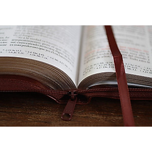 Biblia Reina Valera 1960 letra grande. Símil piel canela, cremallera, tamaño manual / Spanish Bible RVR 1960. Handy Size, Large Print, Leathersoft, Brown Zip