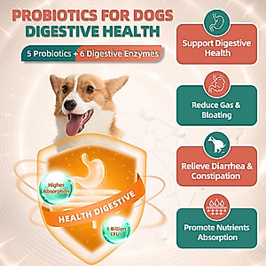 Dog Multivitamin with Glucosamine, Omega 3, Minerals, Probiotics and Enzymes, Dog Vitamins and Supplements for Joint, Skin & Coat Care, Digestive and Immune Health, Chicken Flavor - 120 Chews