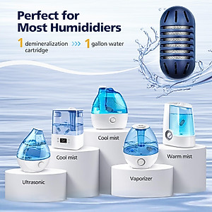 Demineralization Cartridge for HoMedics Ultrasonic Humidifiers, 12-Pack Decalcification Cartridges Filter Replacement, Filters Mineral Deposits Calcium, Prevents Hard Water Build-Up, Purifies Water