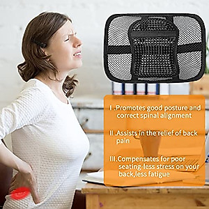 Samyoung Mesh Back Lumbar Support, Back Support Seat Cushion with Breathable Mesh for Office Chairs Car 12” x 16”