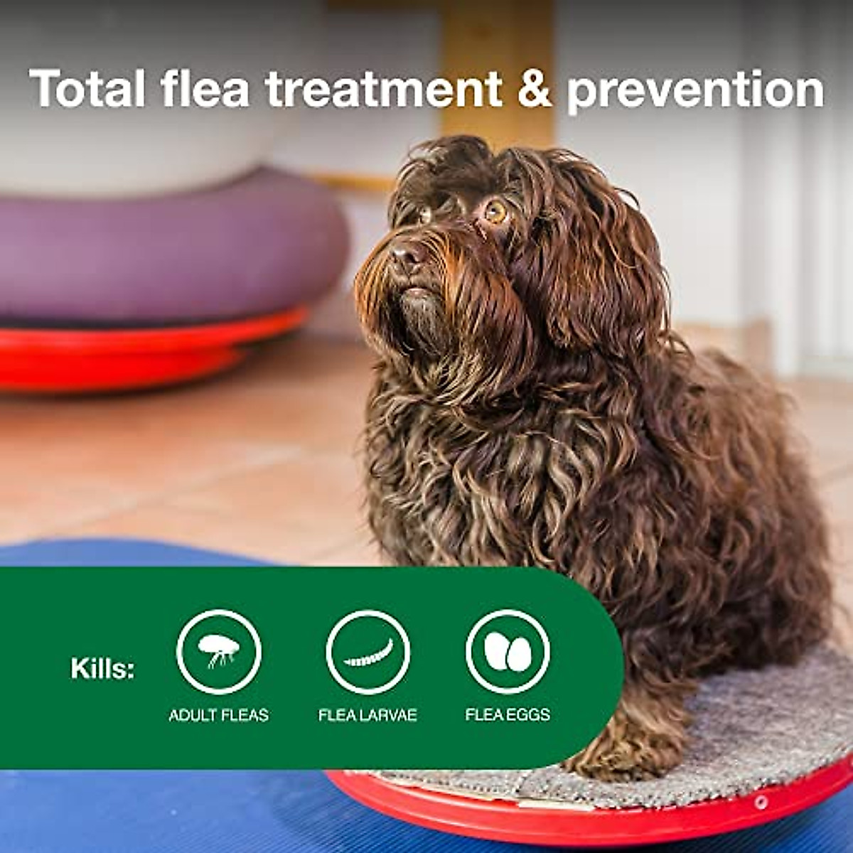 Advantage II Small Dog Vet-Recommended Flea Treatment & Prevention | Dogs 3-10 lbs. | 4-Month Supply