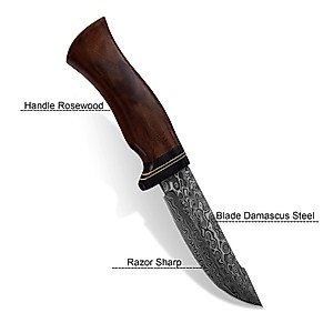 HK Knives Handmade 10''Hunting Knife,Forged Damascus for men,Bushcraft knife with Non-Slip Walnut Wood Handle & Leather Sheath,Damascus best Outdoor Indoor Camping,Survival,Skinning, Rose wood, 5x5