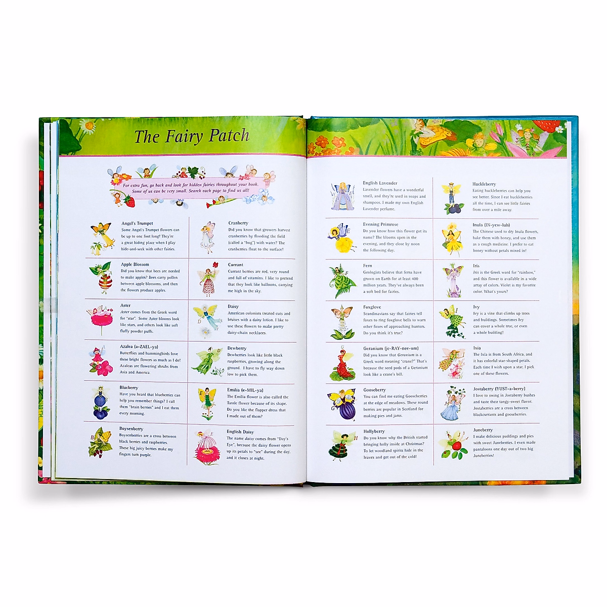 My Very Own Fairytale (Classic Edition) - Personalized Children's Story - I See Me! (Softcover)