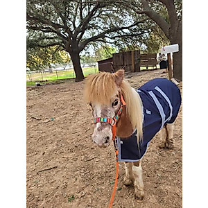 CHALLENGER 38" 1200D Lightweight Miniature Weanling Donkey Pony Foal Horse Sheet 51502