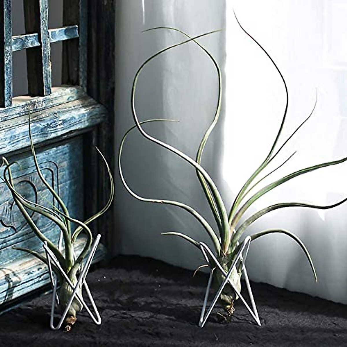 4 Packs Airplant Plants Holder Metal Base Geometric Air Plants Stand Tabletop Air ferns Planter Rack White Tillandsia Display Containers Himmeli Decor .
