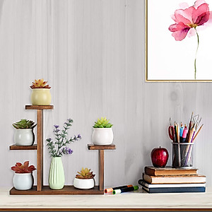 COOGOU Wood Desktop Plant Stand Indoor Small Windowsill Flower Shelf Tabletop Plant Shelf Holder Display Rack for Succulent Herb in Living Room Office