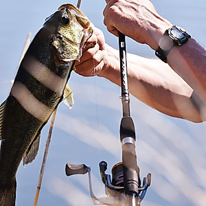 Cadence Fishing CR5 Spinning Rods | 30 Ton Carbon | Fuji Reel Seat | Stainless Steel Guides with SiC Inserts | CR5-701S-MHF