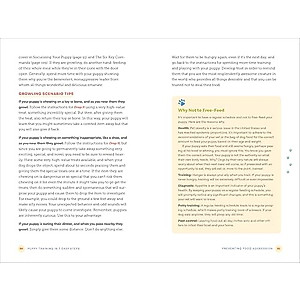 Puppy Training in 7 Easy Steps: Everything You Need to Know to Raise the Perfect Dog