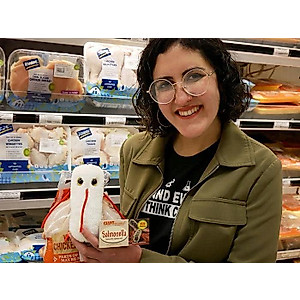 GIANTmicrobes Salmonella Plush -Learn About Food Safety, Bacteria and Gut Health with this Unique Fun Gift for Friends, Families, Teachers, Chefs, Doctors, Gastroenterologists, Students and Scientists