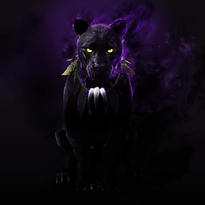 Black Desert: Prestige Edition - PlayStation 4