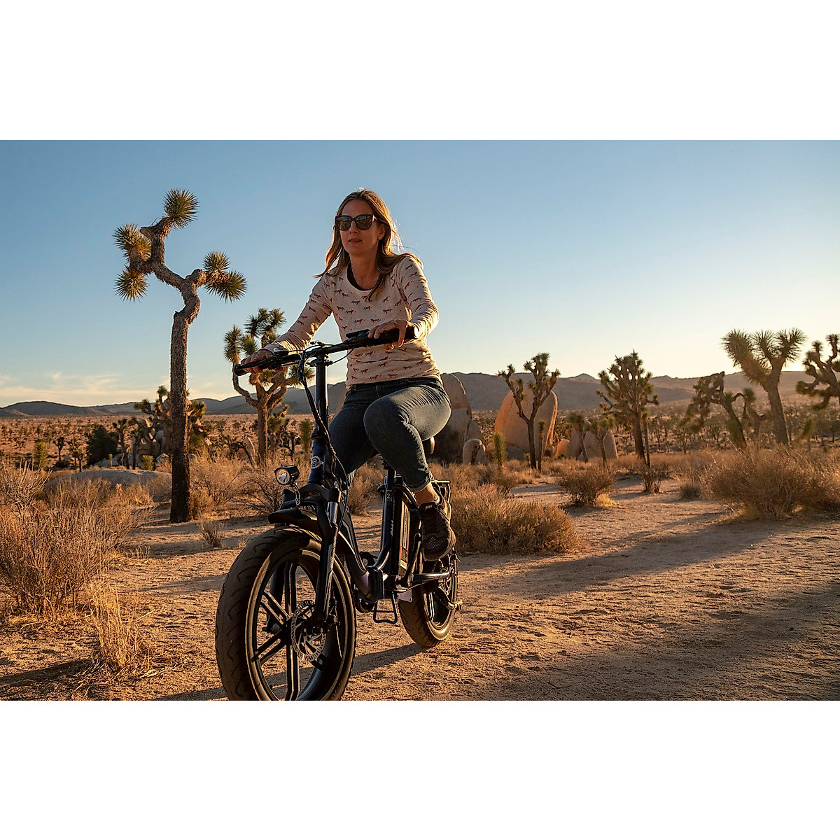 EMOJO RAM SS Street 750W Folding Electric Road Bike for Adults 20 Inch Fat Tire Outdoor E Bike with 48V 10Ah Lithium Battery 20MPH 30 Miles Pedal Assist E Bicycle 7 Speed and LCD Display (Black)