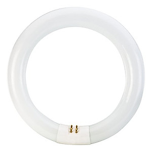 PHILIPS LED 392225 Circline Fluorescent 22-Watt 8-Inch T9 Bright White, 1 Pack