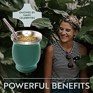 Norte Yerba Mate Natural Gourd/Tea Cup Set Green (Original Traditional Mate Cup - 8 oz) | Includes Bombilla (Yerba Mate Straw) & Cleaning Brush | Green Stainless Steel | Double-Walled | Easy to Clean