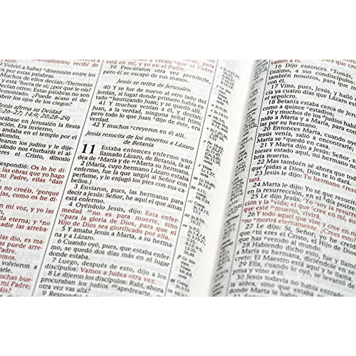 RVR 1960 Biblia de Estudio Scofield, tapa dura (Spanish Edition)