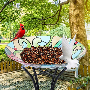 MUMTOP Bird Bath-Bird Baths for Outdoors - Hummingbird Large Bird Bath Bowl with Metal Stand, Glass BirdBaths for The Garden Lawn Yard Decor