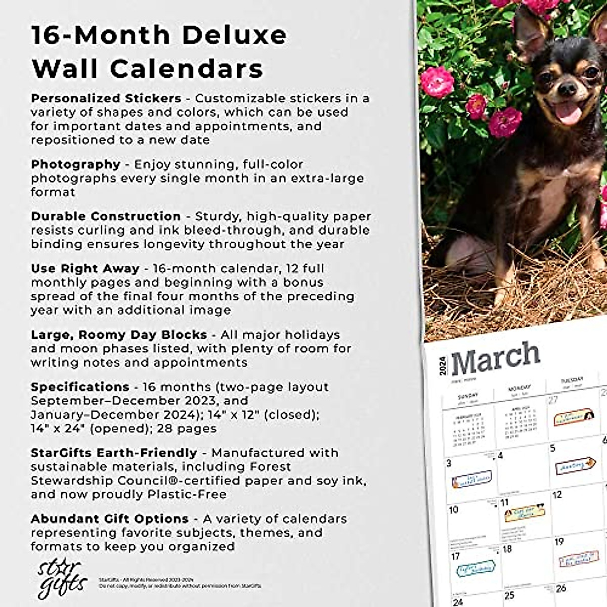 The Beauty of Chihuahuas | 2024 14 x 24 Inch Monthly Deluxe Wall Calendar | Sticker Sheet | StarGifts | Animal Dog Breeds