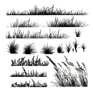 Grass, Many Different lawns Clear Silicone Stamp/Seal for DIY Photo Album Decorative Clear Stamp Sheets Rubber Stamps Card Making Decoration and Scrapbooking Supplies