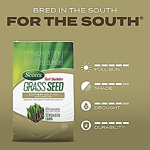 Scotts Turf Builder Grass Seed Southern Gold Mix for Tall Fescue Lawns in The South with Root-Building Nutrition, 16 lb.