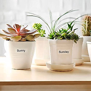 Absonic 3-Pack Tz 18mm 0.7" Laminated Clear Tape Compatible for Brother Tze-141 Tze141 Tz-141 Tz141 3/4" Black on Clear P Touch Tze 18mm Label Maker Tape for PT-D410 PT-D460 PT-D400 PT-D600 PT-D610BT