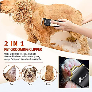 Gimars 2 in 1 Ceramic Blade Dog Grooming Clippers with Small Trimmer, 3-Speed High Power Quiet Rechargeable Dog Shaver Hair Clippers Kit with Comb & Scissors USB Cordless Electric for Dog, Cat, Pet