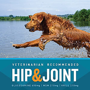 VetIQ Hip & Joint Supplement for Dogs, Anti Inflammatory Joint Support, Glucosamine, MSM, and Krill, Chicken Flavored Soft Chews, 60 Count
