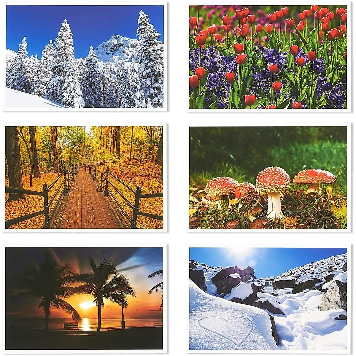 Best Paper Greetings 40 Pack Nature Postcards Bulk, Blank Travel Cards for Mailing, 20 Assorted Scenic Photos, Four Seasons (4x6 In)