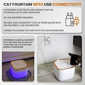 BESTIA Jack Cat Water Fountain - 67oz/2.5L Noise-Free, LED Light, Carbon Absorption Filter, Pet Water Fountain for Cats & Small Dogs (White, Polypropylene)