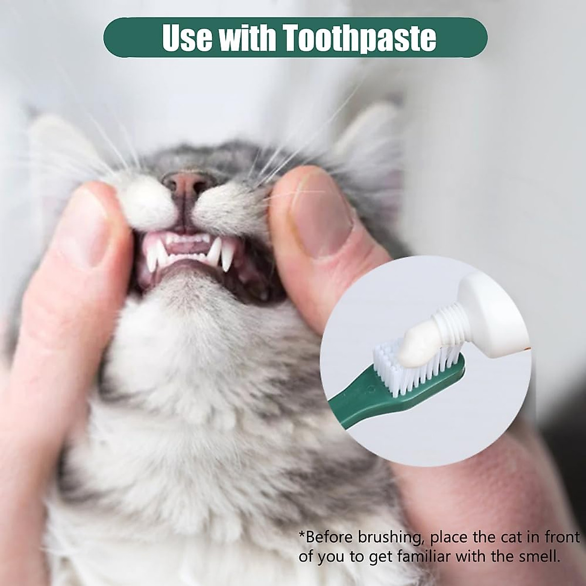 FUPUAII 6Pcs Double Head Cat Toothbrush and 2 Finger Toothbrushes, Toothbrush for Cats, Cat Tooth Brushing Kit, Universal Soft Toothbrush for Cats and Dogs, Solving Pet Oral Problems