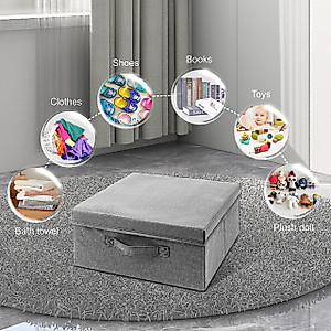 Augfox 2Pcs Fabric Storage Bins with LId - Collapsible Storage Bins with Lids, Sturdy Closet Storage Bins, Multipurpose Lidded Storage Bins for Room Storage (Grey, 14.2" L x 12.6" W x 6.3" H)
