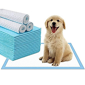 Mr. Peanut's Premium Ultra Absorbent Gel Pee Pads 23"X23", 6 Layers of Protection (40 Count)