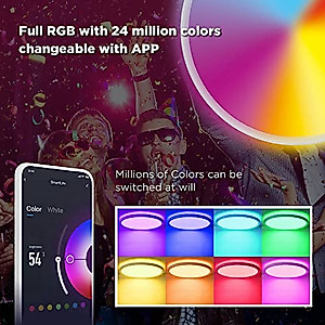 BestLuz Smart Ceiling Light Flush Mount LED WiFi, Compatible with Alexa & Google Assistant, Dimmable Low Profile Ambient Light Fixture for Bedroom Living Room,16 Inch 24W