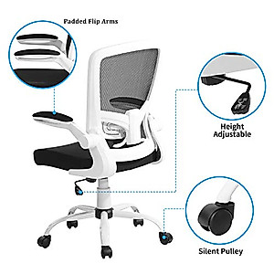 UNICOO - Mid Back Mesh Computer Chair, Office Task Desk Chair, Swivel Home Comfort Chairs with Padded Flip-up Armrests and Adjustable Lumbar Support (RY-N-01-White)