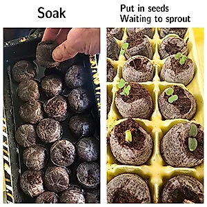 200 Pcs Peat Pellets Plant Starter,30MM Plant Starting Plugs,Fiber Soil Direct Plant Seeding Starters peat pellets for seedlings