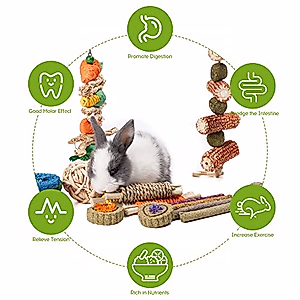 SMANGY Rabbit Chew Toys 19pcs,Bunny Toys for Rabbits,Natural Timothy Hay Sticks for Teeth,Handmade Chew Treats and Balls for Bunny, Chinchilla,Bunny Teeth Care