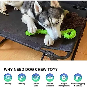 Extra Large Bone Dog Toy 13 Inch - with Convex Design Durable Dog Chew Toy Tug of War Stimulating Toy for Aggressive Chewers Medium and Large Dog Breeds Tooth Cleaning Training Interactive (Green)